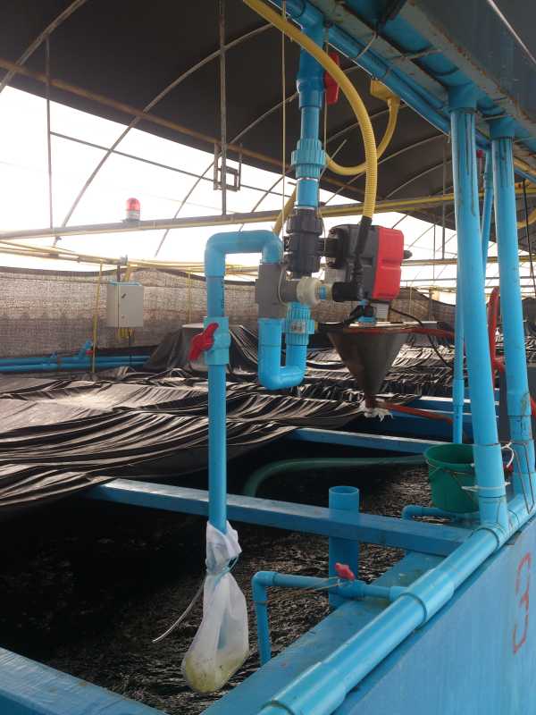 HMI PLC for large aquaculture farms | SPV Tech Solutions